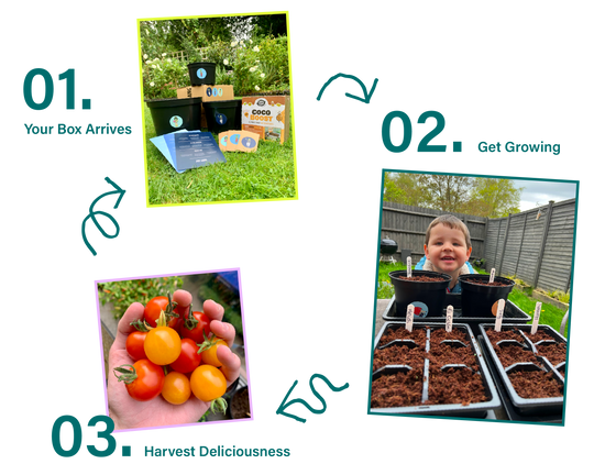 Gardening Subscription Boxes | POT GANG