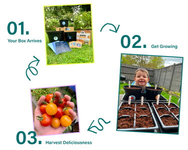 Gardening Subscription Boxes | POT GANG