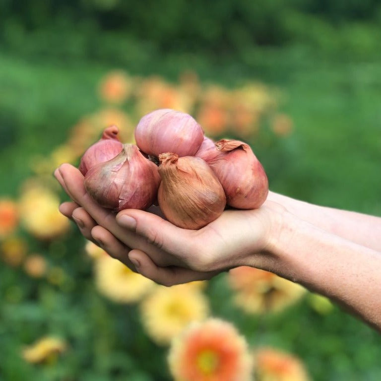 Gardening Subscription Boxes | POT GANG