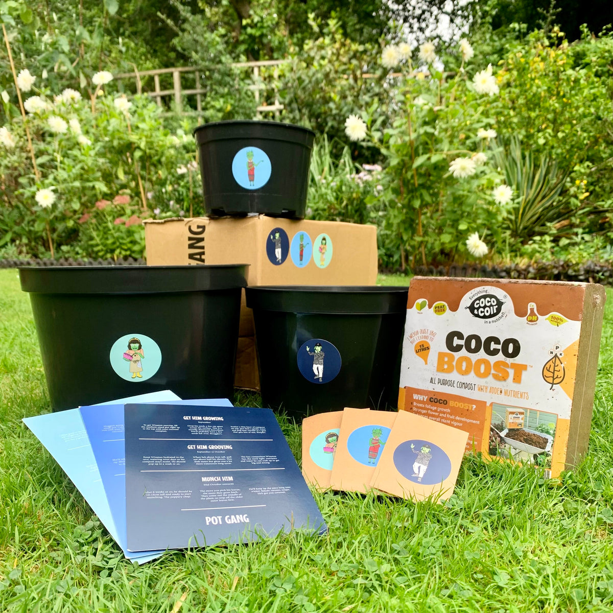 Pot Gang | Grow-Your-Own Box – POT GANG